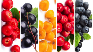 Wild Scandinavian berries on a low FODMAP diet - A blog by Monash ...